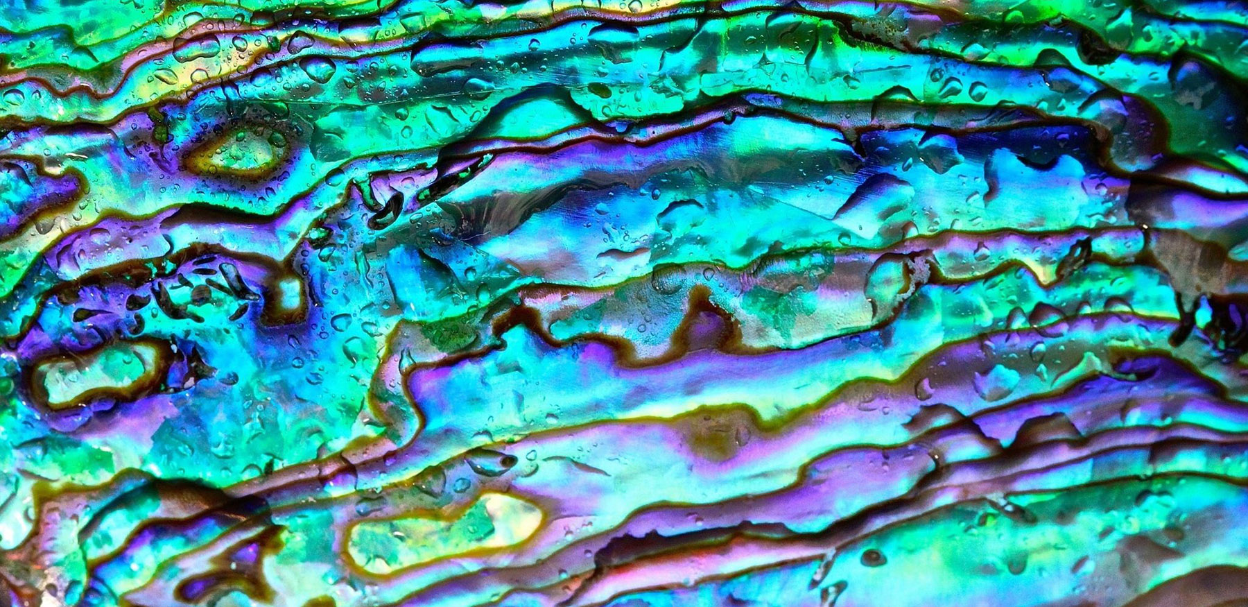 Color Trends: Abalone - Kansas City Homes & Style