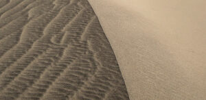 Color Trends: Dune - Kansas City Homes & Style